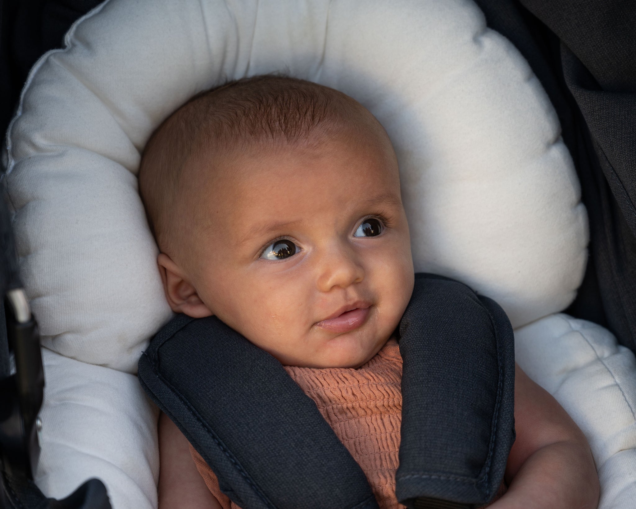 2022 Bumbleride Newborn Stroller Insert (Organic Cotton)